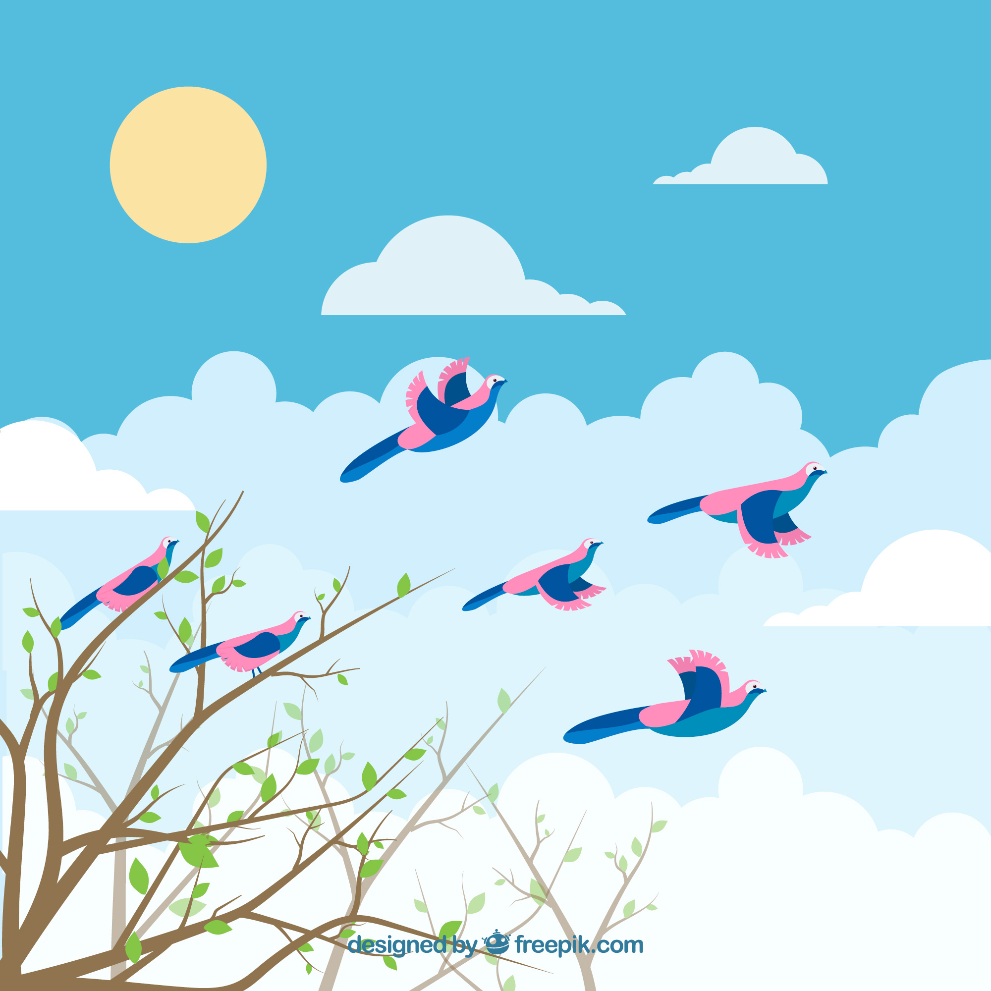 Gone with the birds - SHEBIN S